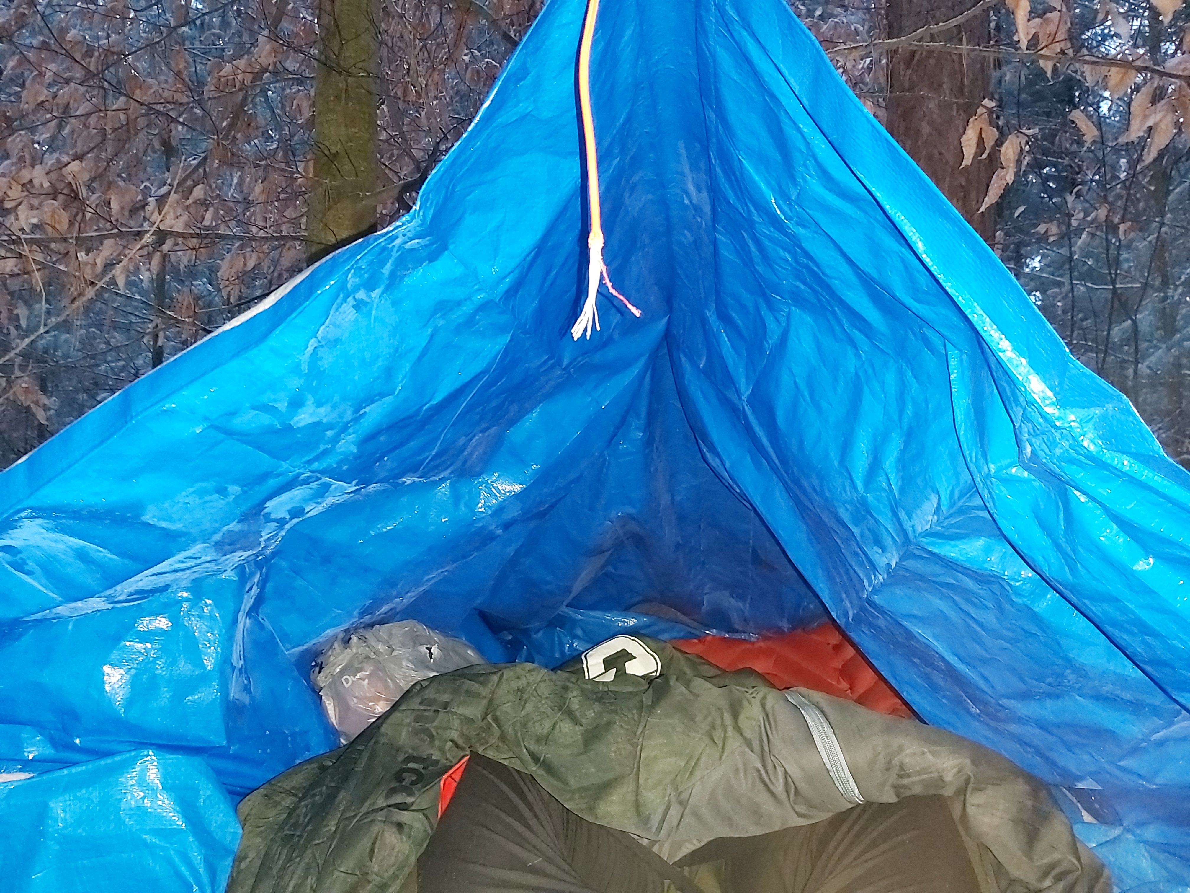 /wiz/ - Official Homeless Thread: Try Not to Die Edition