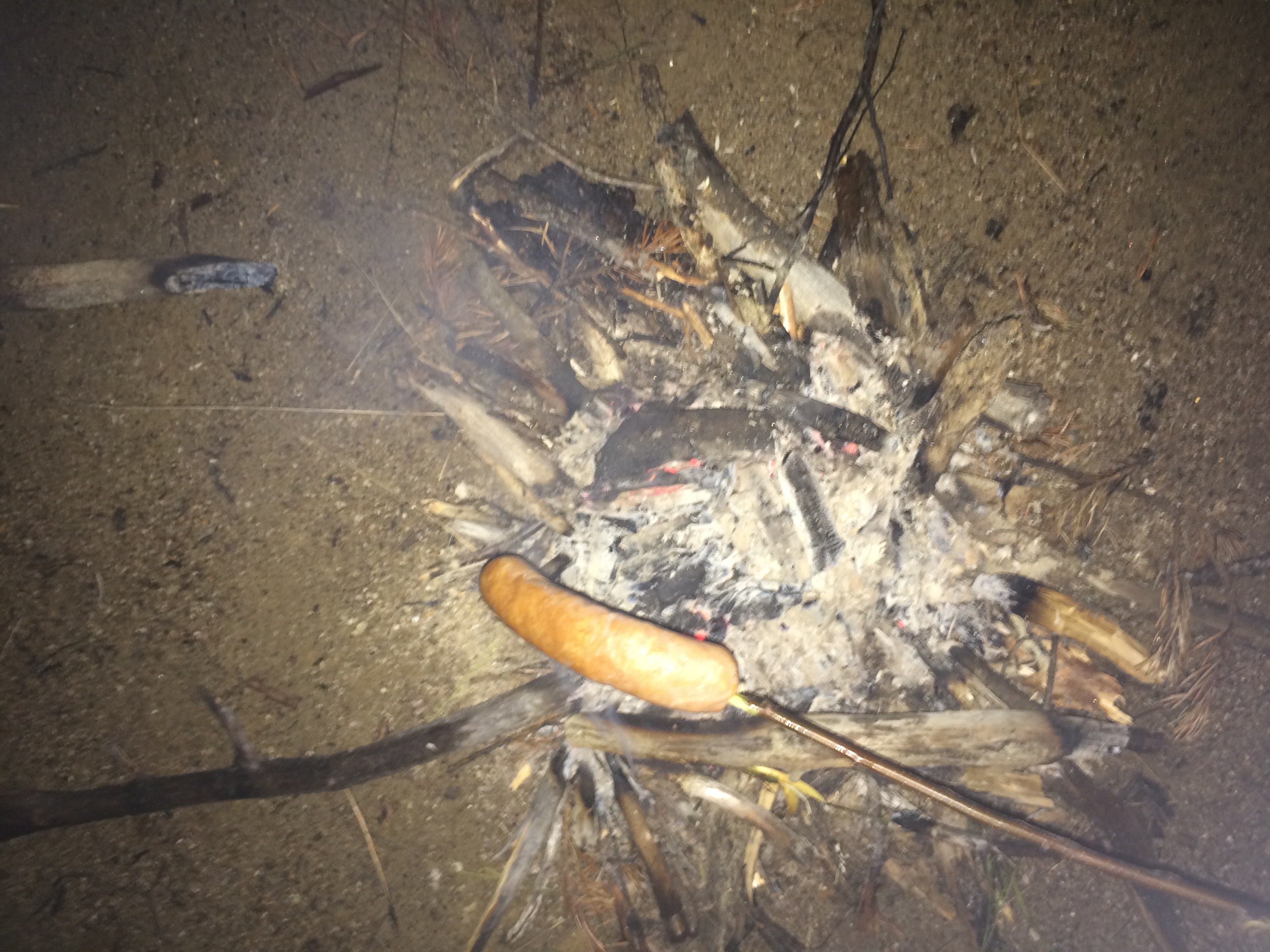 /wiz/ - Official Homeless Thread: Try Not to Die Edition
